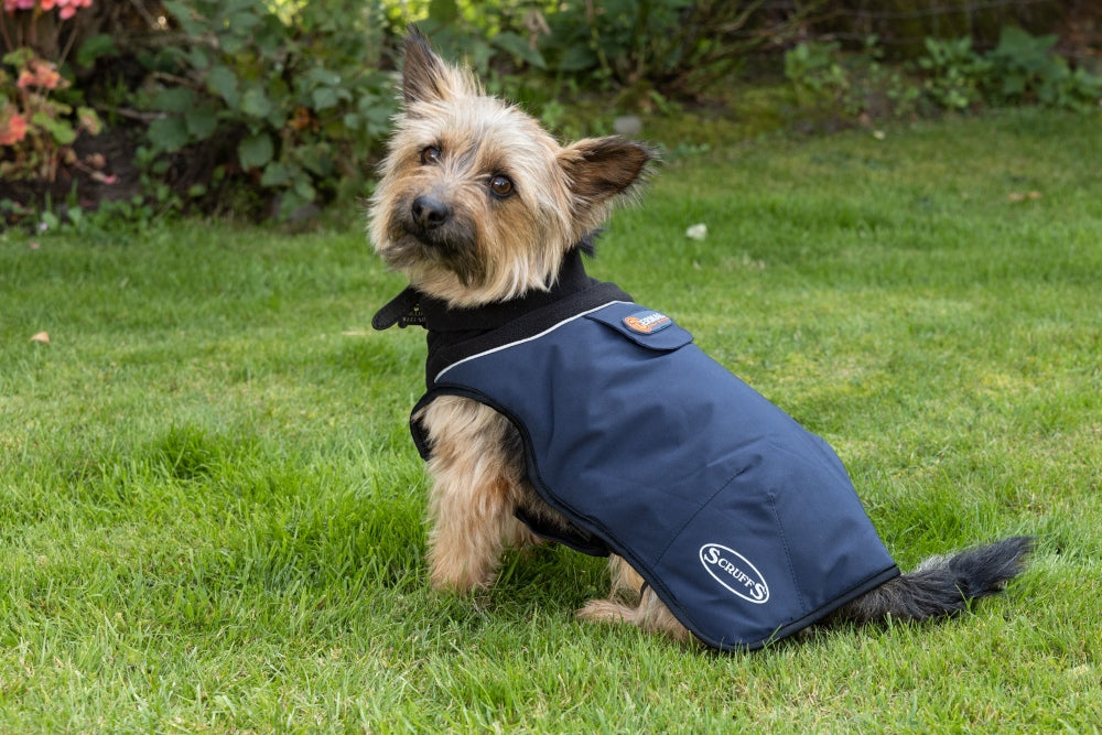 Scruffs Thermal Self Heating Dog Coats | Treat Your Dog
