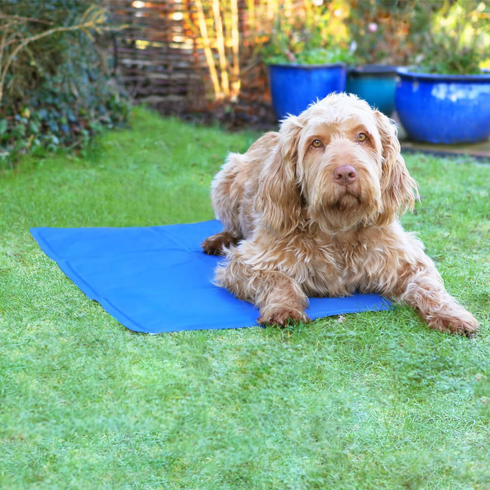 Chillax Cool Pad — Treat Your Dog