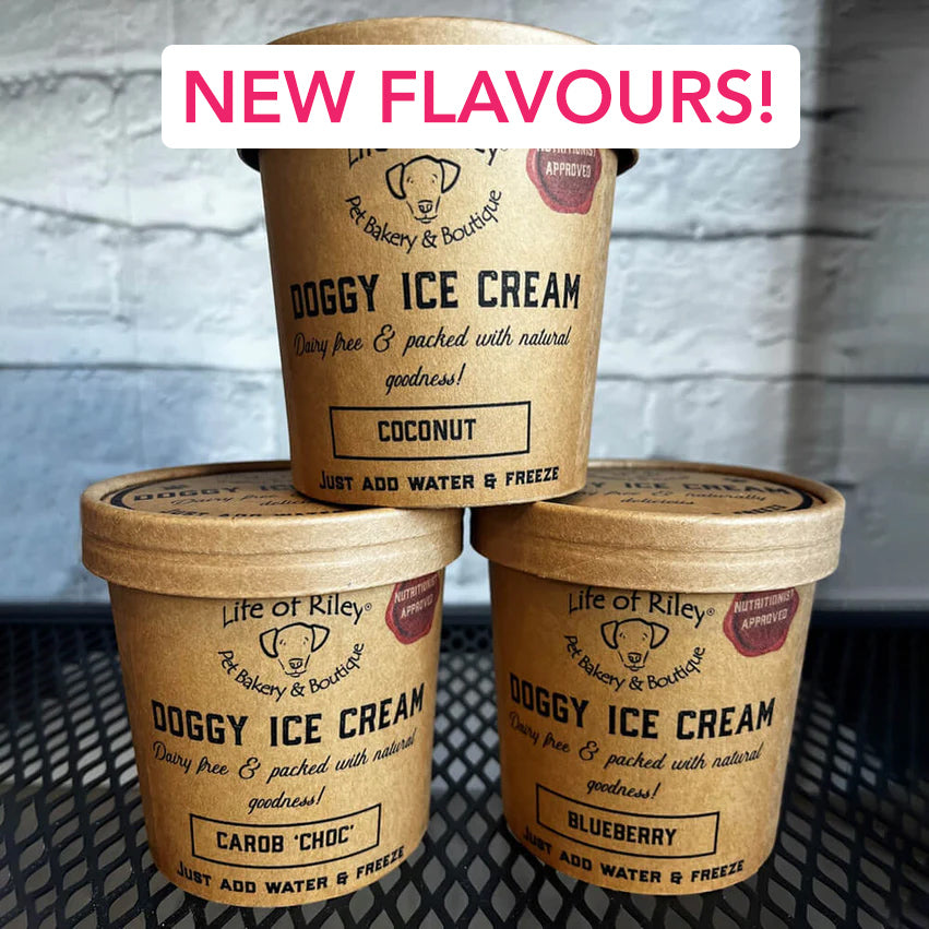 Ice Cream Tubs for Dogs — Treat Your Dog