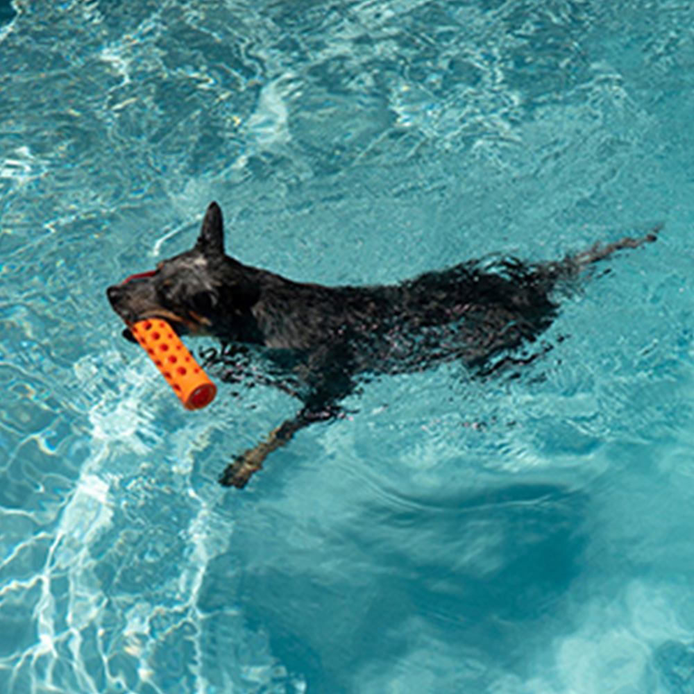 N-Gage Bumper Hydro Dog Toy — Treat Your Dog