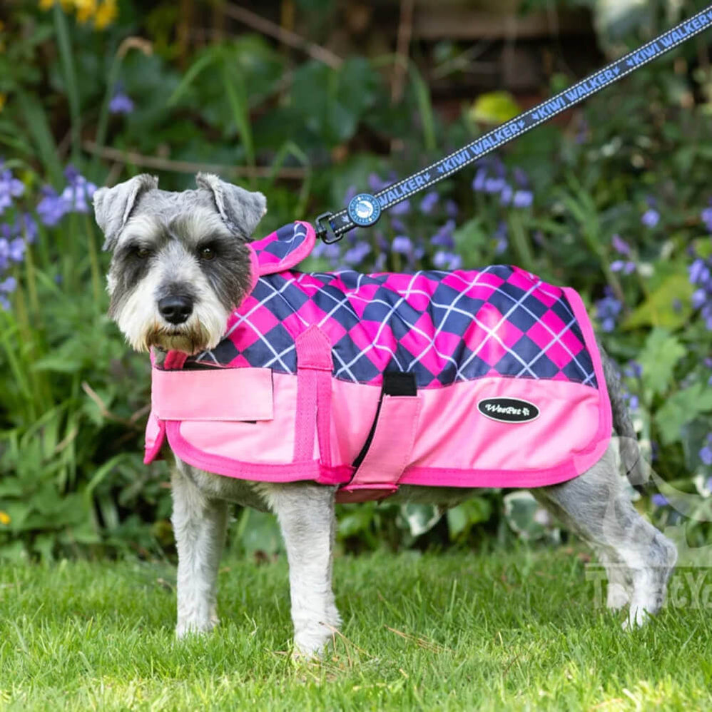 Waterproof Dog Coats :: UK Dog Coat Specialists :: Treat Your Dog
