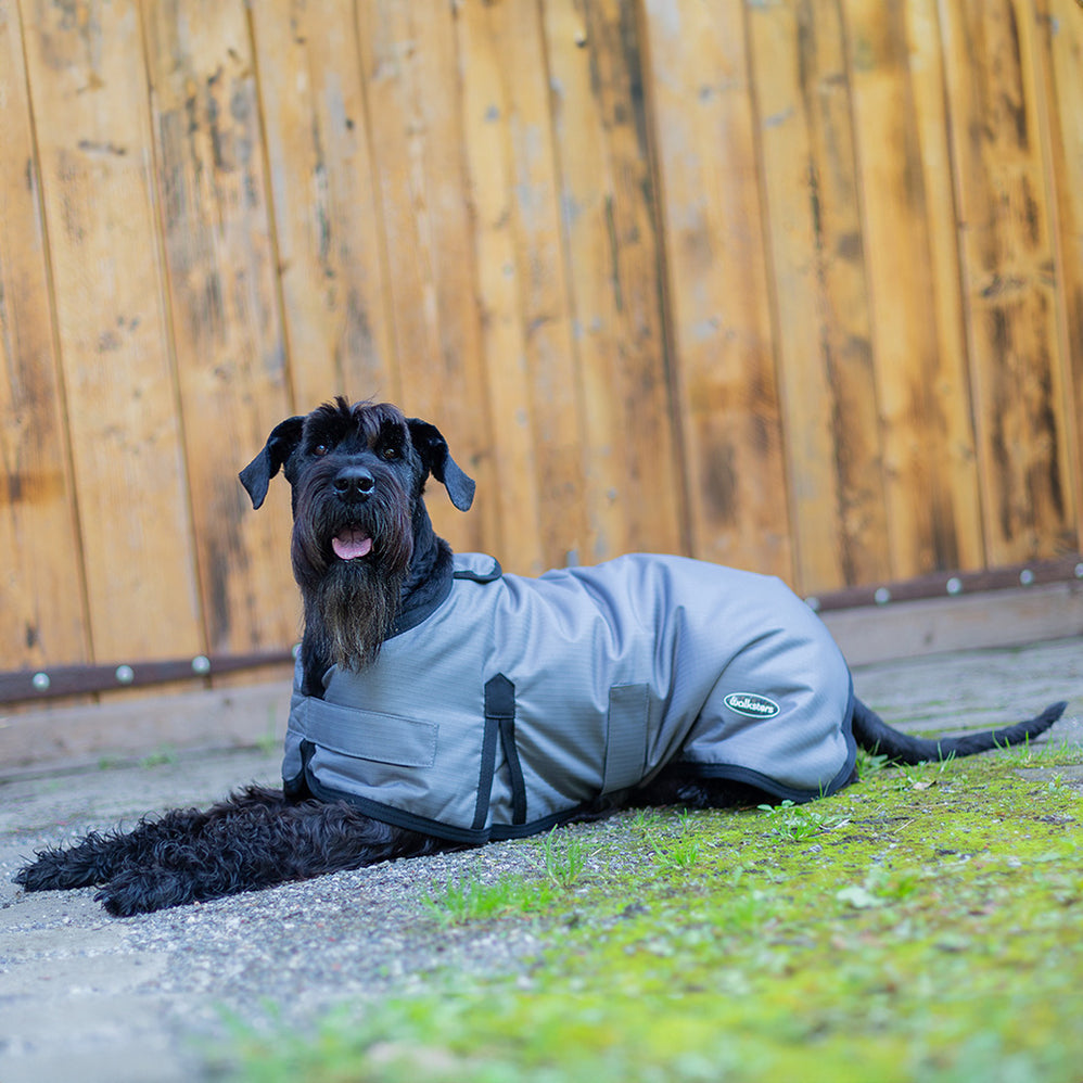 Waterproof Dog Coats :: UK Dog Coat Specialists :: Treat Your Dog