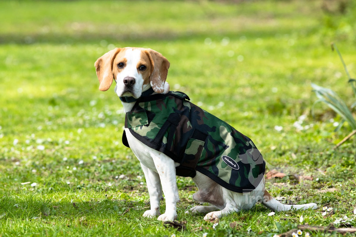 Waterproof Dog Coats :: UK Dog Coat Specialists :: Treat Your Dog